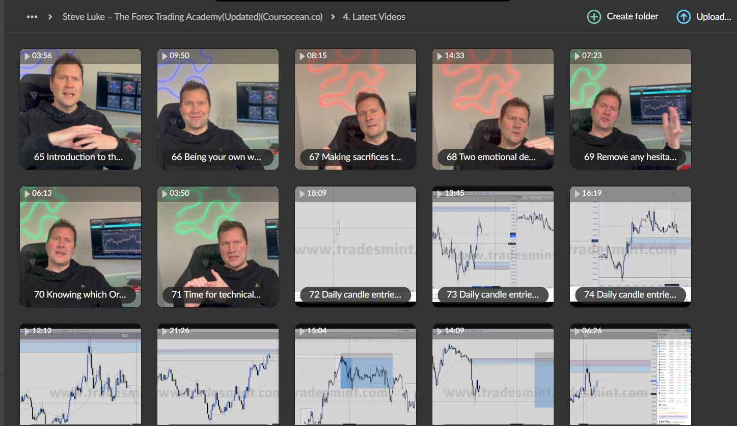 Steve Luke â€“ The Forex Trading Academy(Updated)