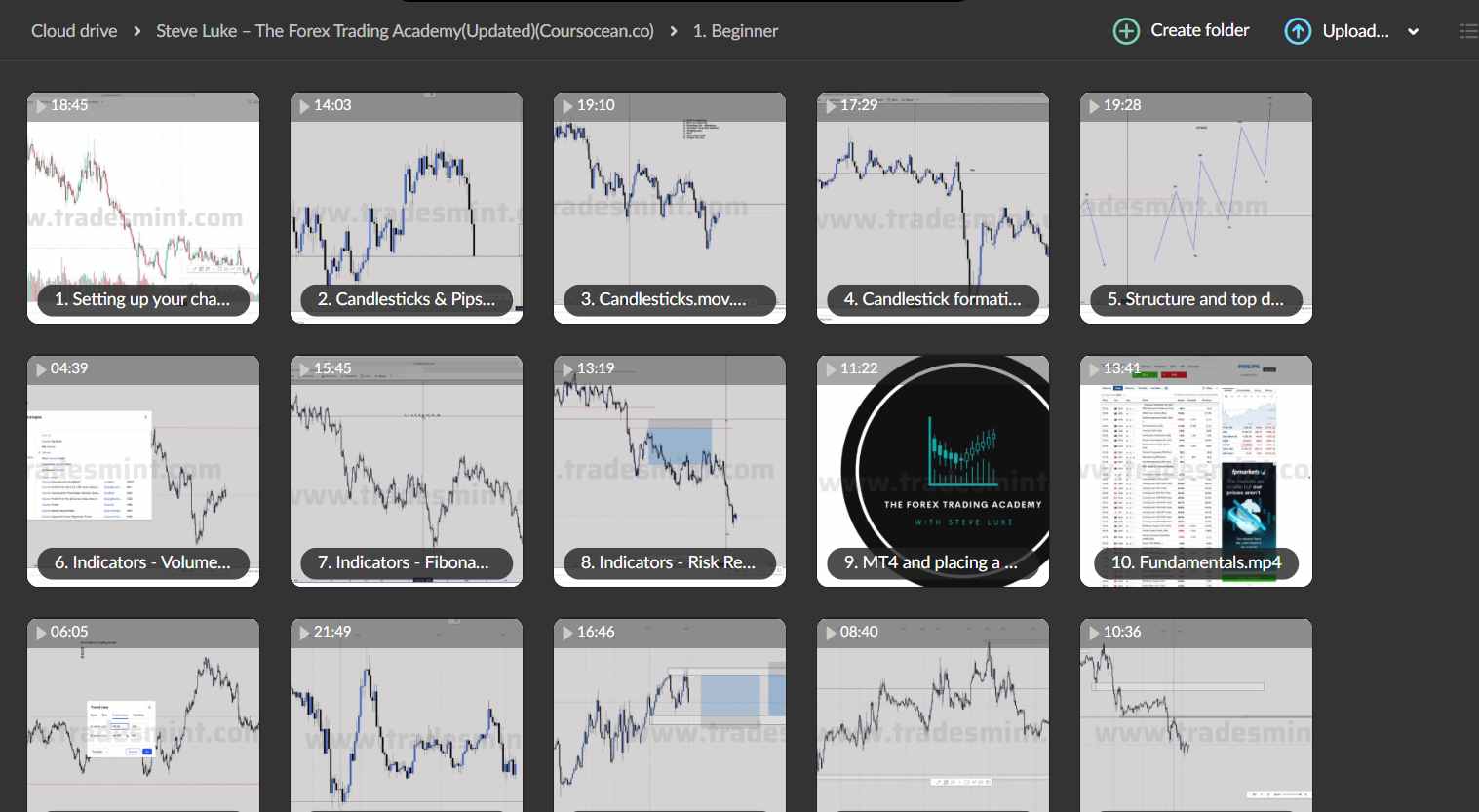Steve Luke â€“ The Forex Trading Academy(Updated)