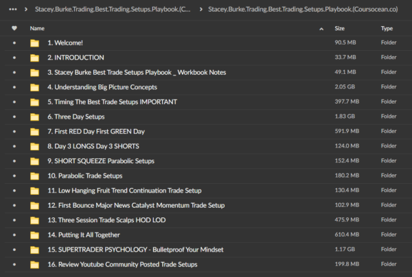 Stacey Burke Trading â€“ Best Trading Set Ups Playbook