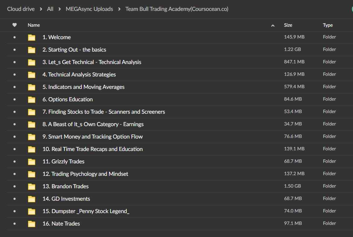 Team Bull Trading Academy - CoursOcean