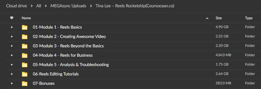 Tina Lee – Reels Rocketship - CoursOcean