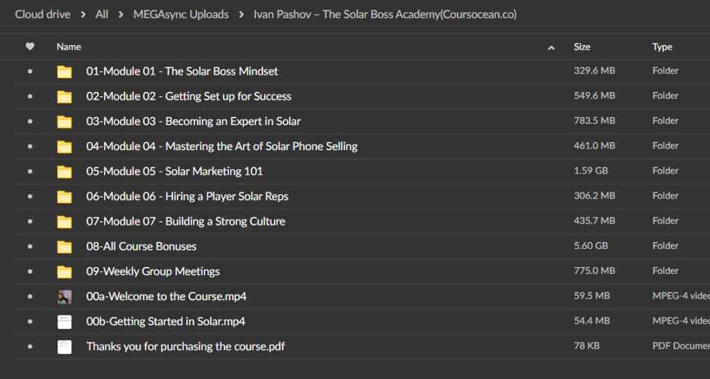 Ivan Pashov – The Solar Boss Academy - CoursOcean